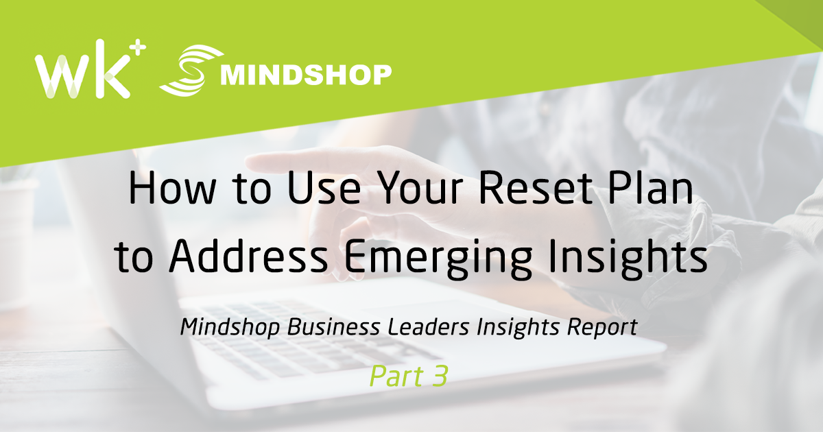 How to Use Your Reset Plan: Mindshop Business Leader Insights - WK